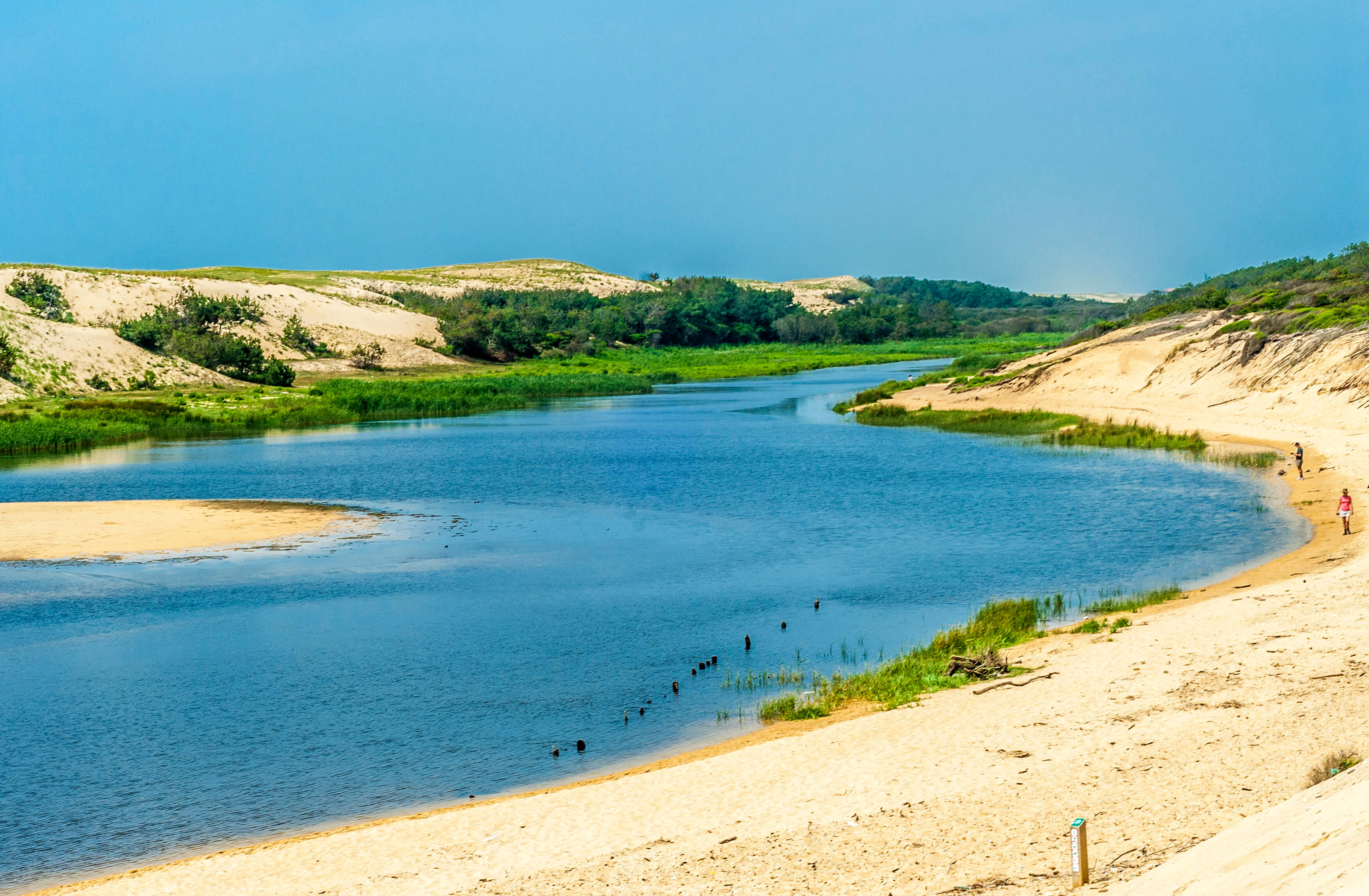 Une réserve naturelle unique : le Courant d'Huchet - SNCF Connect