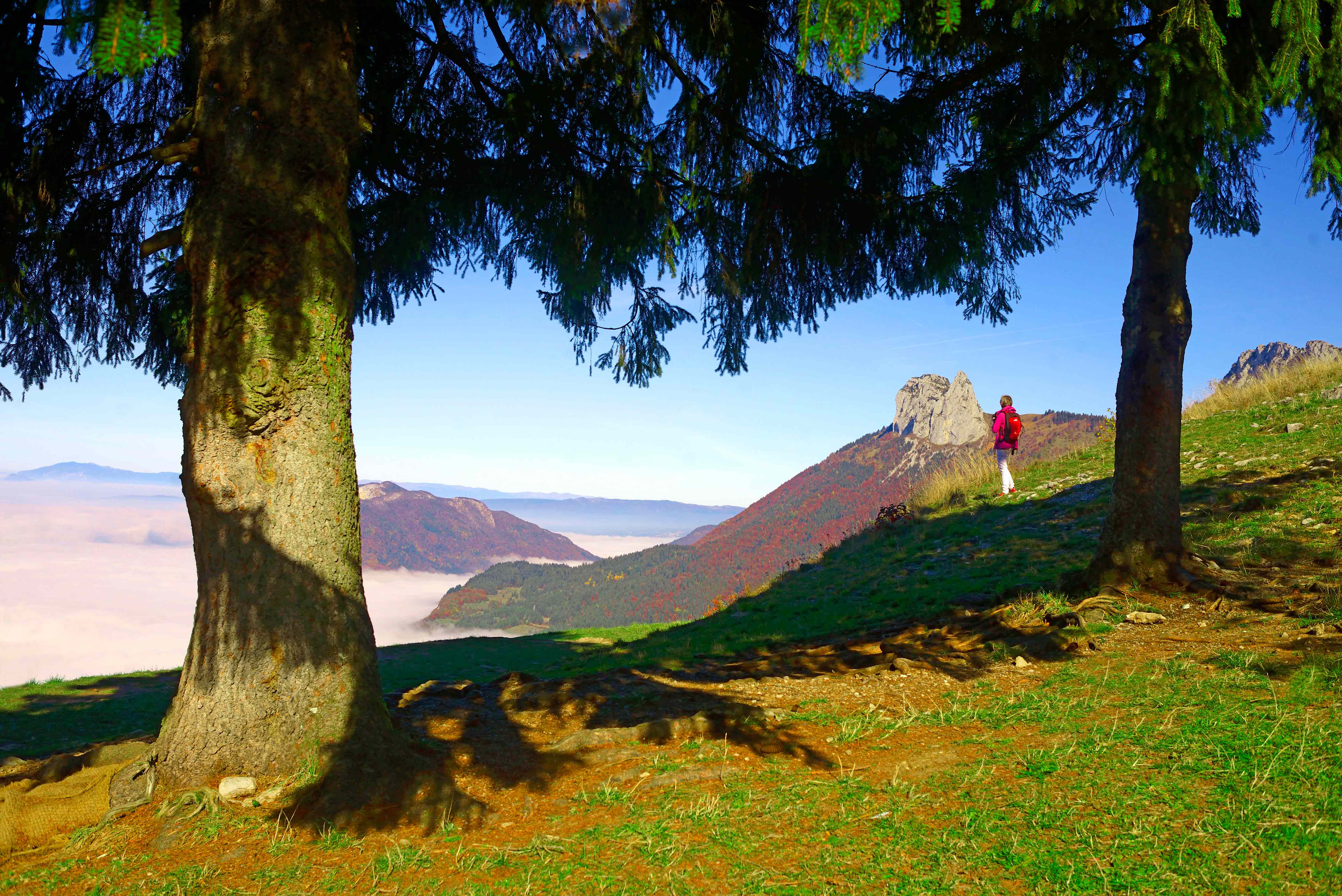 Top 5 des plus belles randonnées autour d’Annecy - SNCF Connect