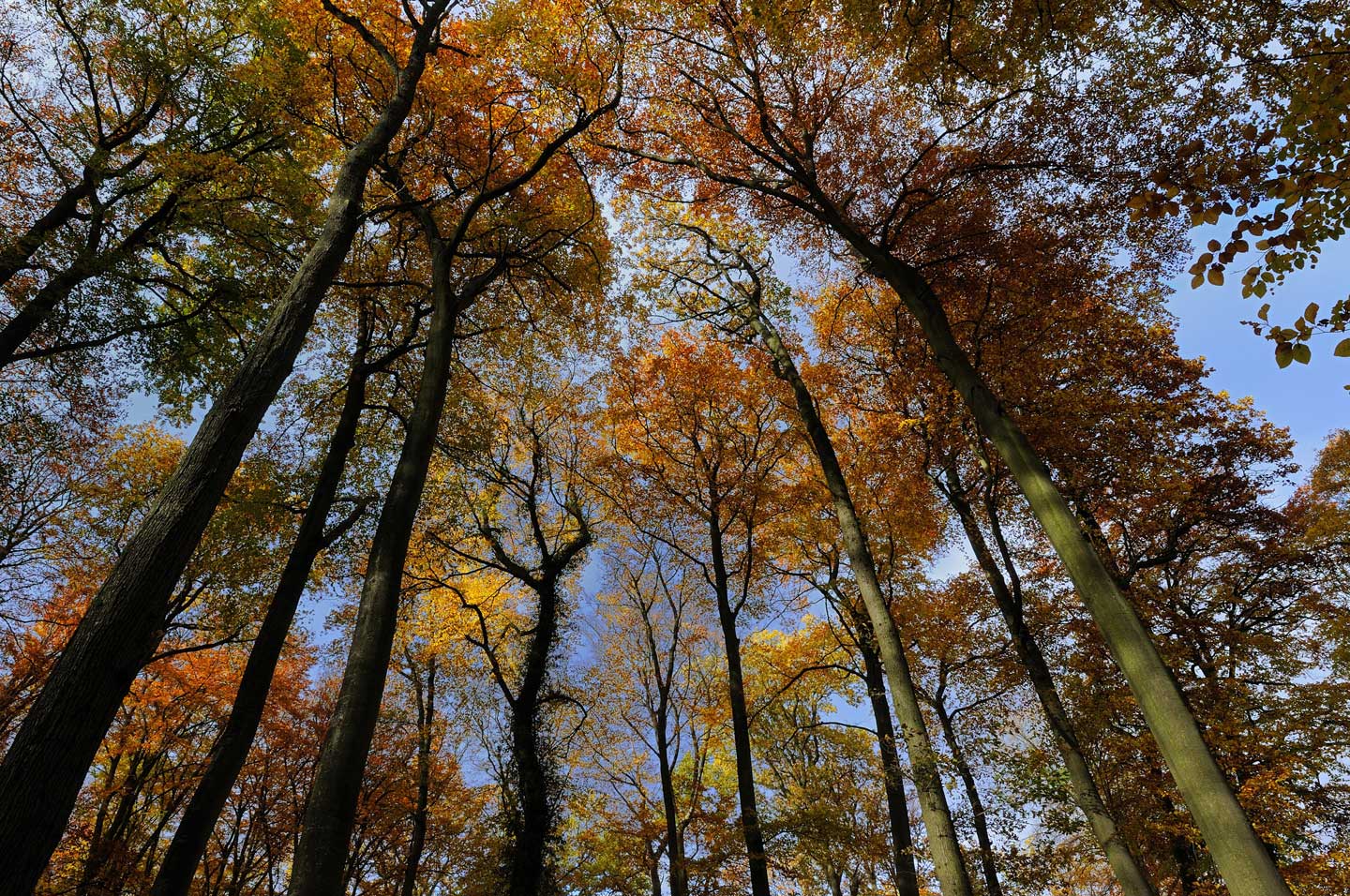 5 idées pour vos week-ends d’automne - SNCF Connect