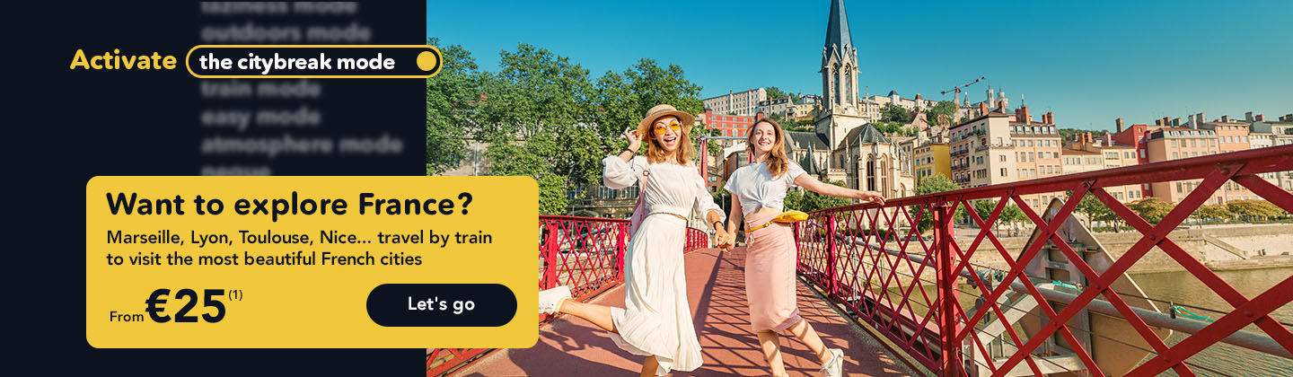 Train tickets - Book cheap train tickets - SNCF Connect