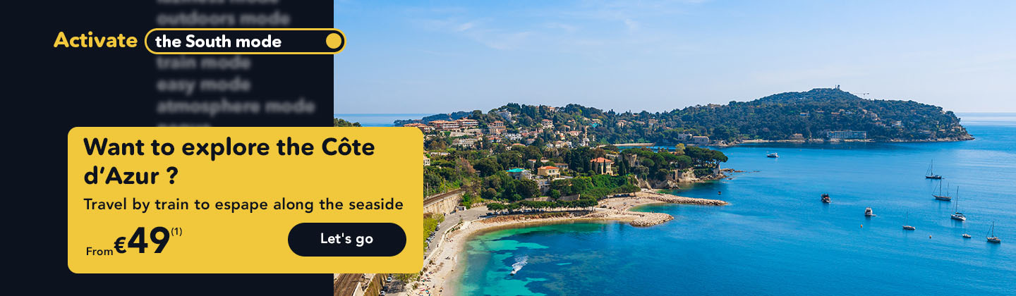 Train tickets - Book cheap train tickets - SNCF Connect