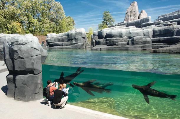 Where to go to see animals in and around Paris - SNCF Connect