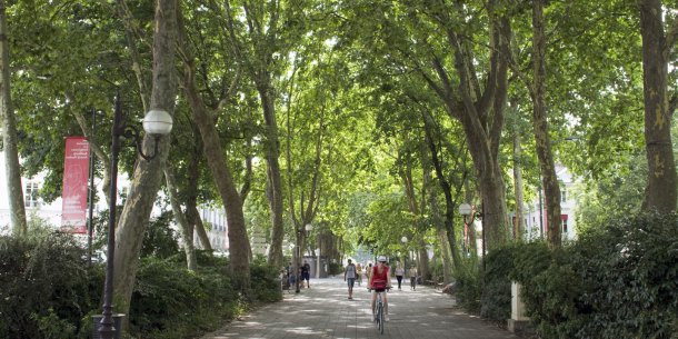 Week-end vert et éco-responsable à Tours - SNCF Connect