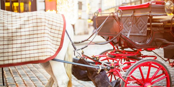 Où partir en vacances à Noël ? - SNCF Connect