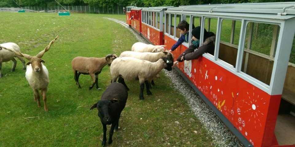 Le Petit Prince au cœur de l’Alsace - SNCF Connect