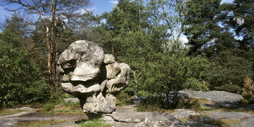 Top 5 des plus belles randonnées en Ile de France - SNCF Connect