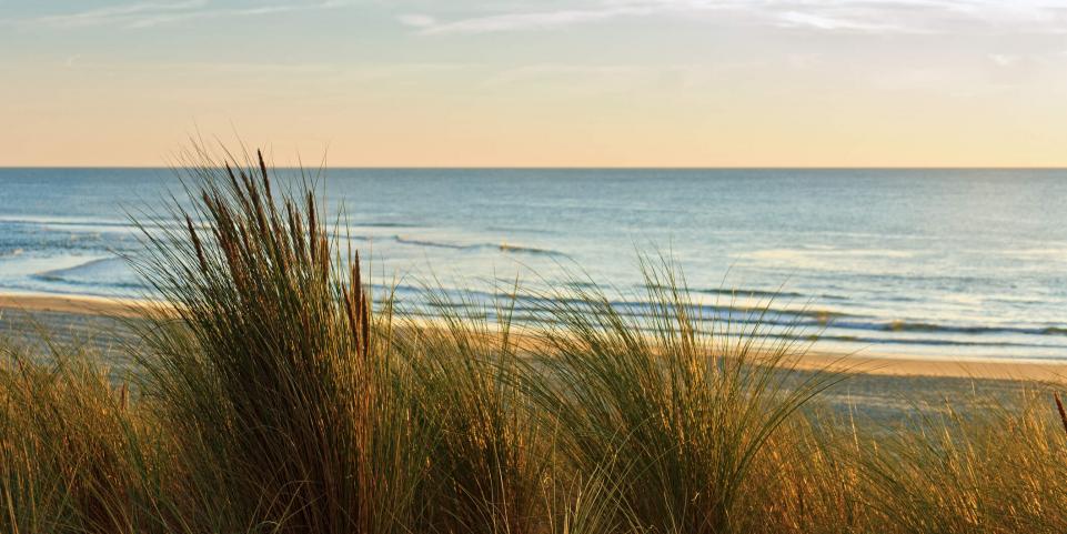 Top 10 pour découvrir les Landes - SNCF Connect