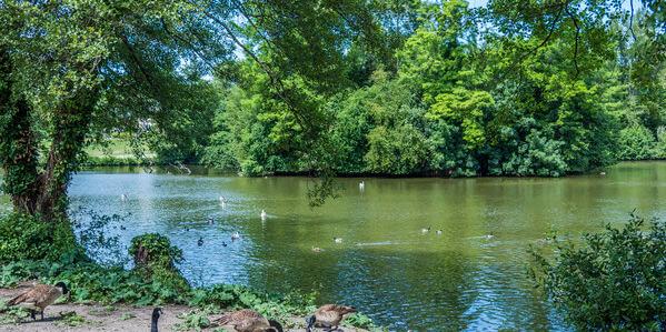 Top 5 pour une escapade nature à Bordeaux - SNCF Connect