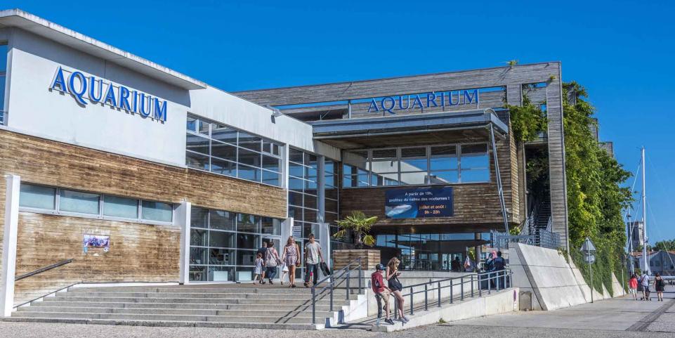 Une journée en famille à l'Aquarium de La Rochelle - SNCF Connect