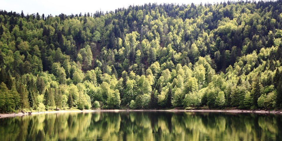Les plus beaux paysages dans le Grand Est - SNCF Connect