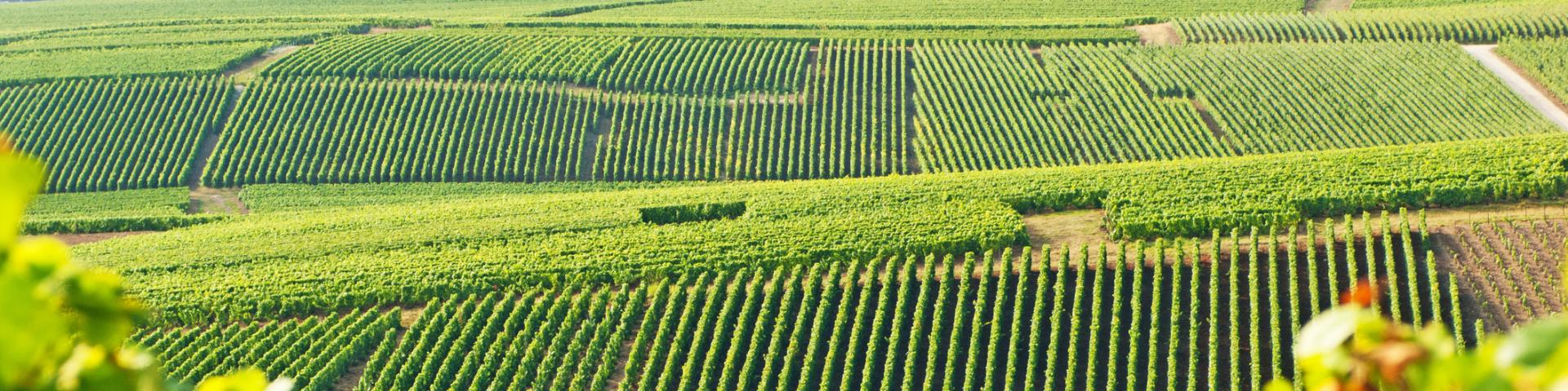 Les plus beaux paysages dans le Grand Est - SNCF Connect