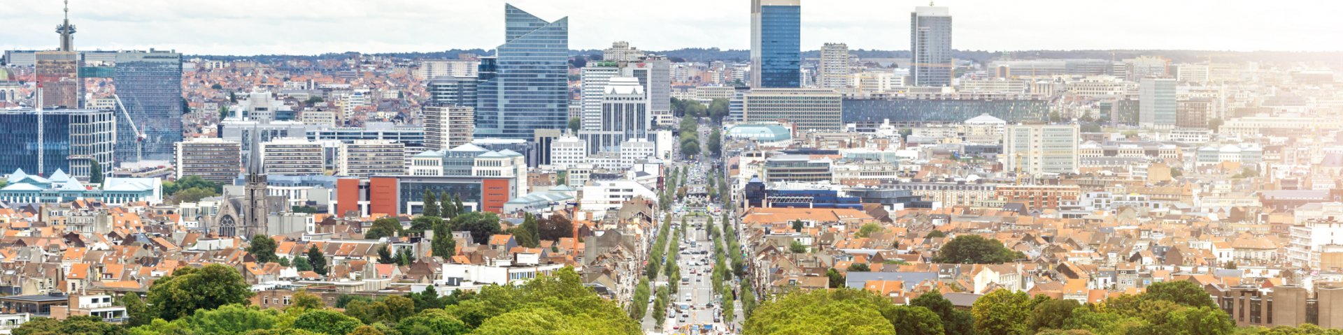 Sur les traces de Tintin et Milou à Bruxelles - SNCF Connect
