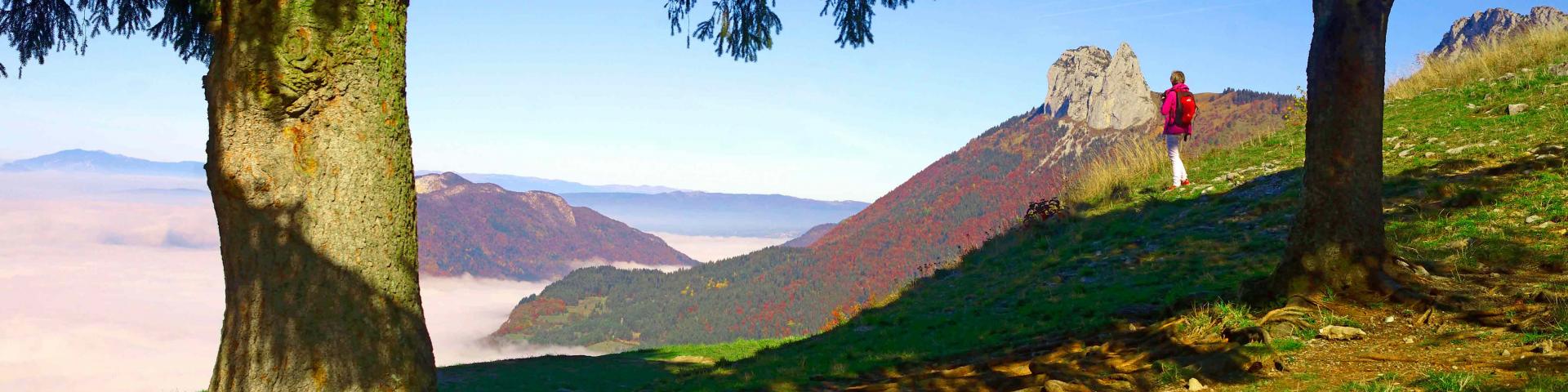 Top 5 des plus belles randonnées autour d’Annecy - SNCF Connect