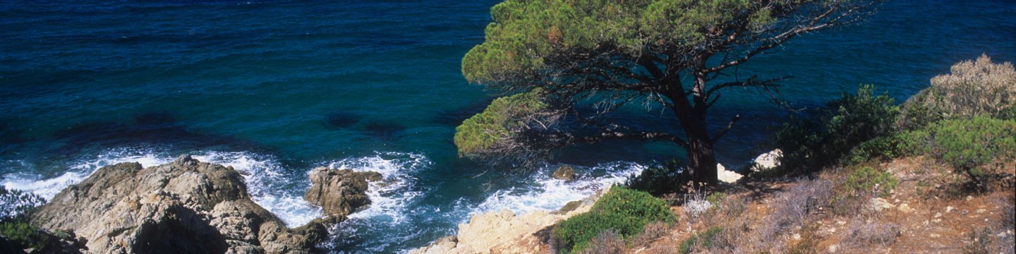 La Croix-Valmer, destination préservée - SNCF Connect