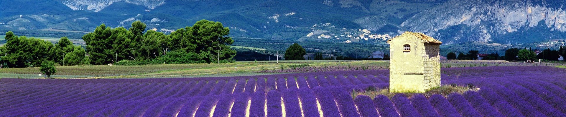 Tout ce qu’il faut faire dans la Drôme