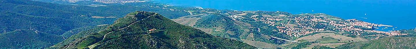 Achat abonnements, cartes de réductions et billets TER Occitanie - liO ...