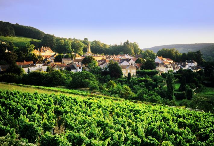 Tarifs TER Bourgogne-Franche-Comté | SNCF Connect