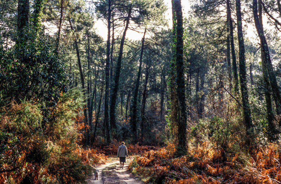 Top 10 pour découvrir les Landes - SNCF Connect