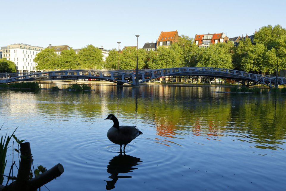 8 good reasons to visit Cologne for a weekend - SNCF Connect